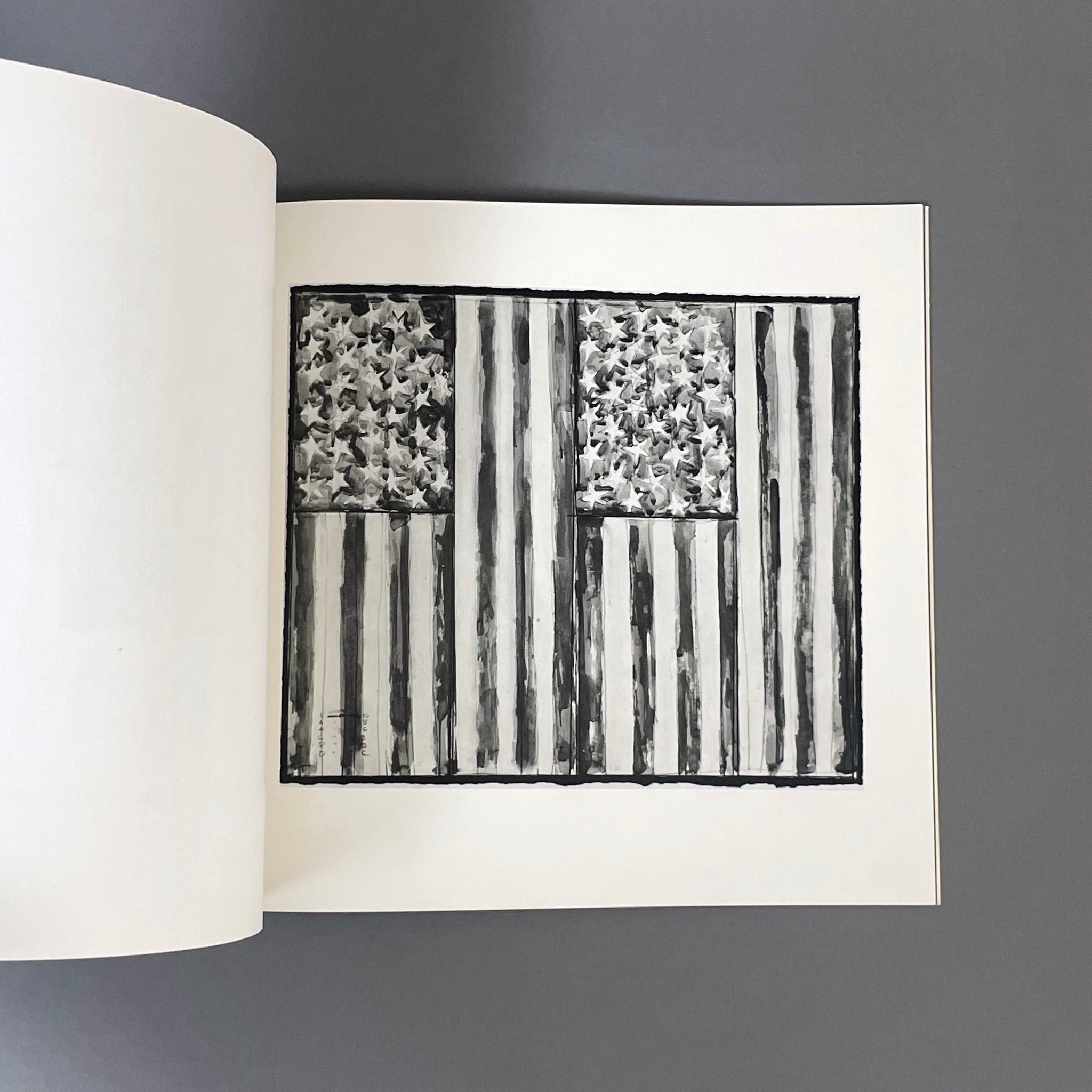 JASPER JOHNS DRAWINGS